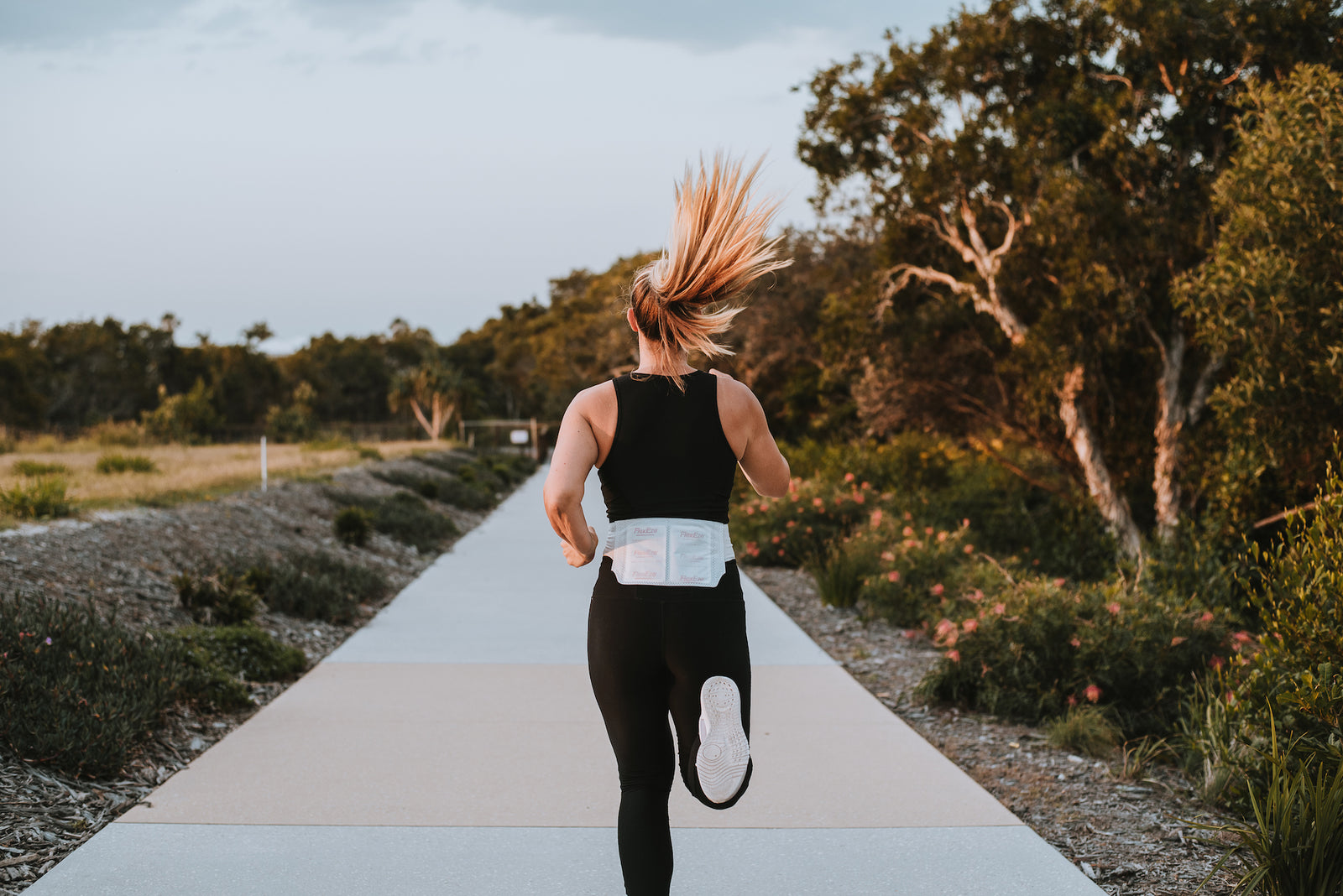 FlexEze | FlexEze - Evidence-Based Back Pain Relief and Premium Protein ...